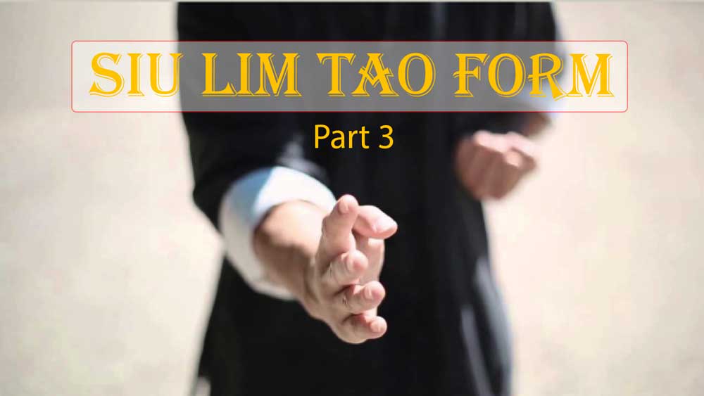 Siu Lim Tao Form 3 – Wing Chun Online Lernen