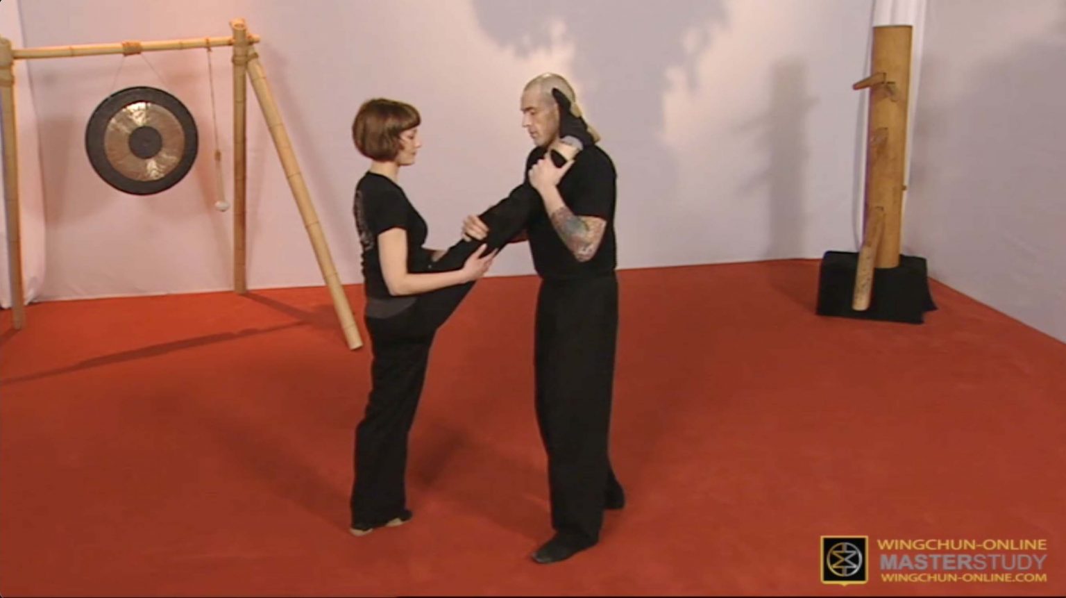 Fitness Programm 50 Minuten mit Partner – Wing Chun Online Lernen